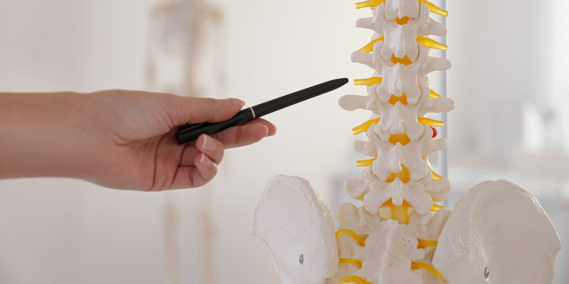 Lumbar Spine Pain Area | Shoreline Medical Services/ Hutter ...